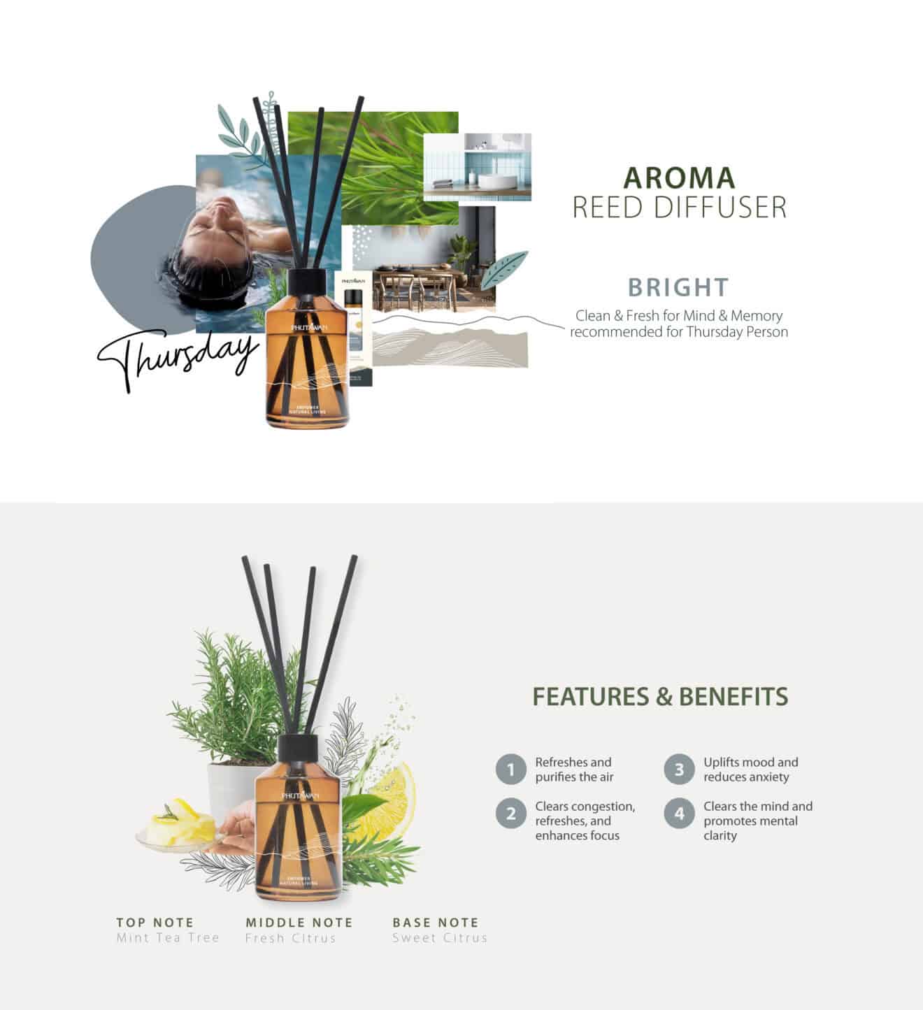 Bright Reed Diffuser - Phutawan Malaysia